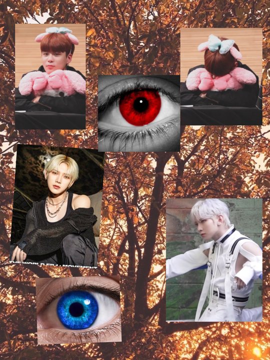 Feral omega - Inceptionalfever - ATEEZ (Band) [Archive of Our Own]